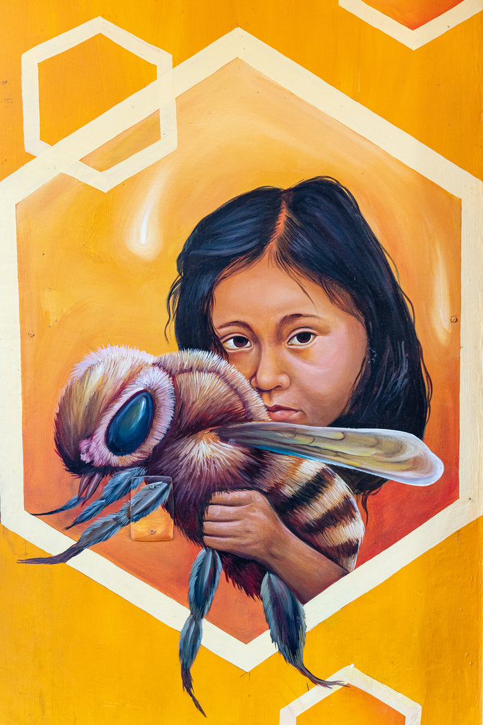 Melipona Honey – Mel Honey